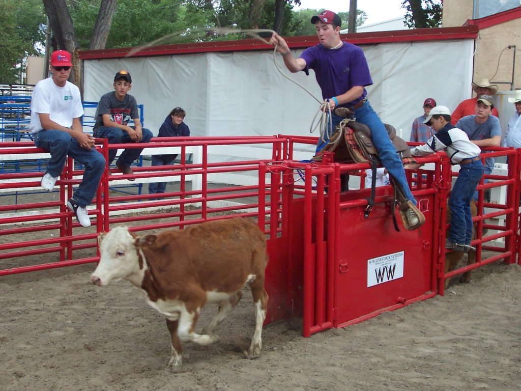 Rodeo Equipment – WW Manufacturing