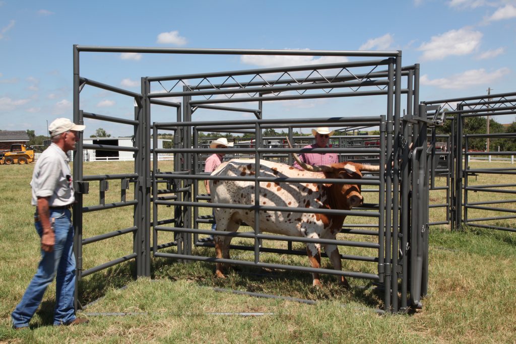 Cattle Handling Equipment – WW Manufacturing